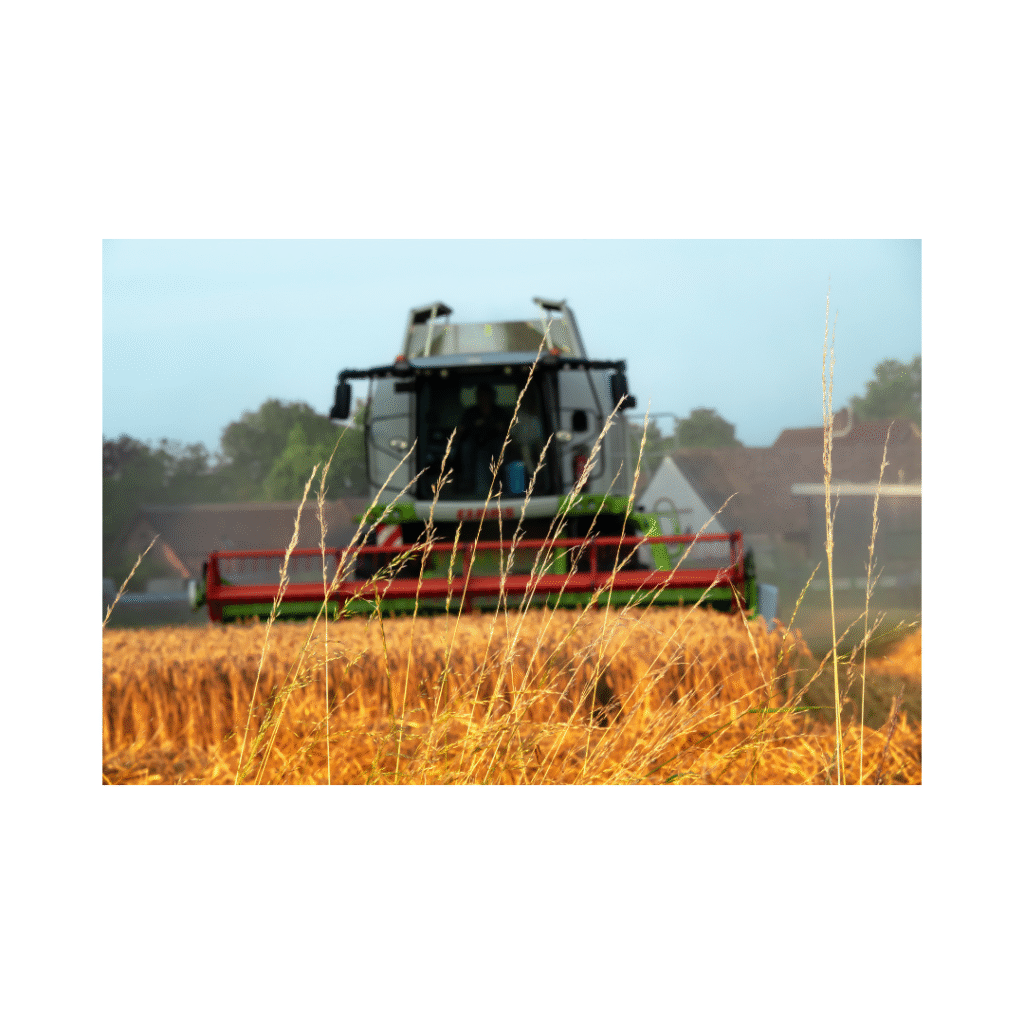 Infrastructure Subsidy For Agro-Processing Cluster APC Scheme